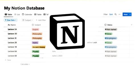 a beginner s guide to using databases in notion in 2024