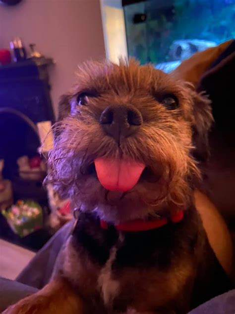 The Various Stages Of Parsnip And Peanuts Adventures