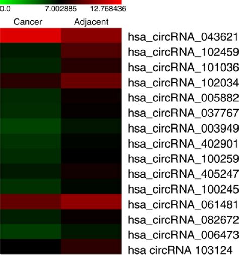 Figure 1 From Microarray Profile Of Circular Rnas Identifies Hsa