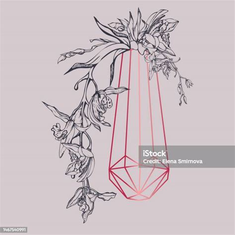 손으로 그린 벡터 잉크 난초 꽃과 가지 단색 자세한 개요 결정 형태의 조성물 비바 마젠타 색상 벽 예술 결혼식 인쇄 문신 표지 카드를위한 디자인 0명에 대한 스톡 벡터 아트
