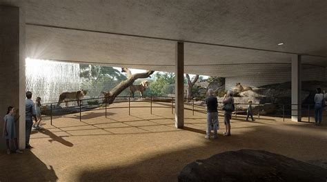 Leeuwen Van Artis Krijgen De Ruimte Oost Online Amsterdam