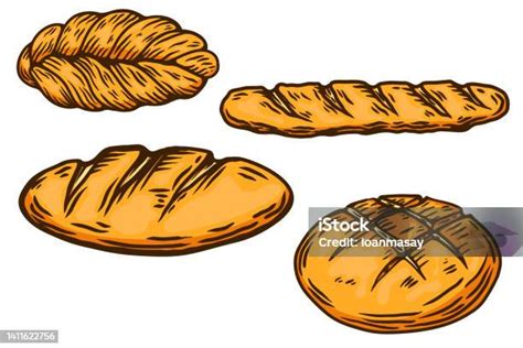 손으로 그린 빵 삽화 세트 패키지 배너 전단지 카드를위한 디자인 요소 벡터 일러스트 레이 션 개체 그룹에 대한 스톡 벡터 아트 및 기타 이미지 Istock