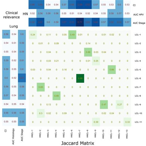Heatmap Depicting Cluster Overlap And Clinical Relevance Ci And Auc