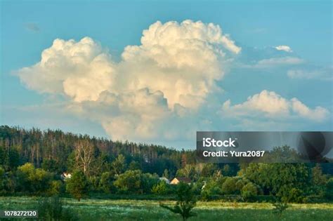 저녁에 여름 풍경입니다 거 대 한 체적 구름과 하늘입니다 녹색 풀밭 및 침 엽 수 숲의 보기입니다 시골에서 마입니다 0명에 대한 스톡 사진 및 기타 이미지 Istock
