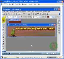 Build Adult Sites Everything You Need To Build Adult Sites Bookmark BuildAdultSites Com