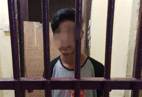 Dicekoki Miras Gadis Belia Jadi Korban Perkosaan Paceko Dot Com