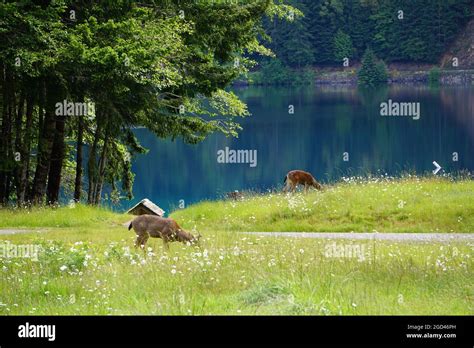 A bite to eat Stock Photo - Alamy