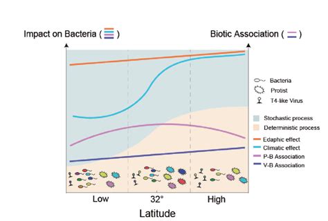 Conceptual Paradigm Showing The Assembly Processes For Bacterial Download Scientific Diagram