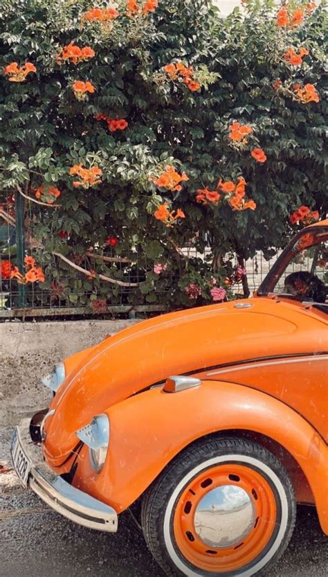 دانلود والپیپر جذاب نارنجی