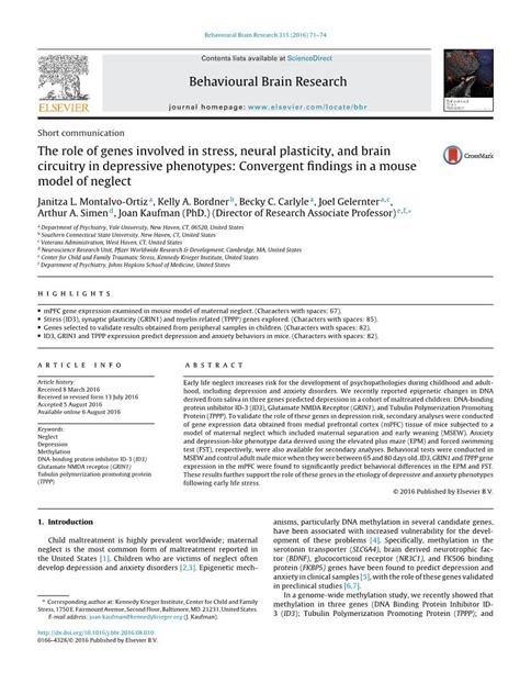 The Role Of Genes Involved In Stress Neural Plasticity And Brain