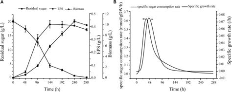 Reconstruction And Analysis Of A Genome Scale Metabolic Model Of Ganoderma Lucidum For Improved