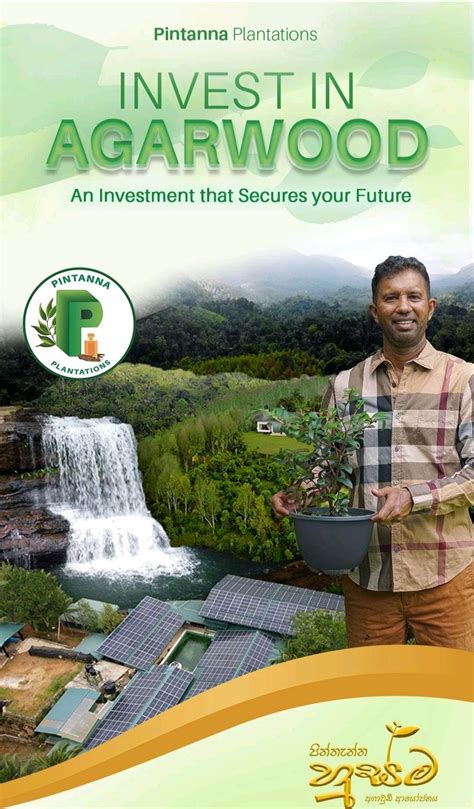 Pradeep Perera On Linkedin Opportunity Success Investment