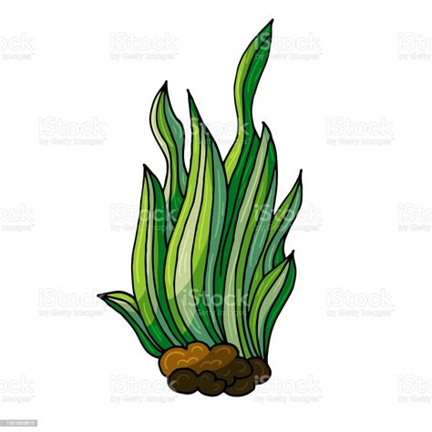 조류 부시 손으로 그리기 스타일의 해양 테마 아이콘 바다 생활의 귀여운 유치한 그림 아이콘 배지 스티커 거북이에 대한 스톡 벡터 아트 및 기타 이미지 Istock