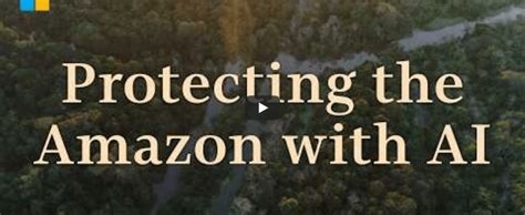Protecting The Amazon From Deforestation With Microsoft Ai Sexy Spider