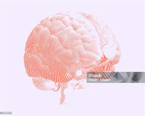 흰색 Bg에 빨간색 인간의 뇌 라인 아트 일러스트를 스타일화 3차원 형태에 대한 스톡 벡터 아트 및 기타 이미지 3차원 형태