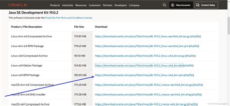 Hadoop步骤三centos7 卸载自带openjdk 并 安装jdk19卸载centos自带的jdk Csdn博客