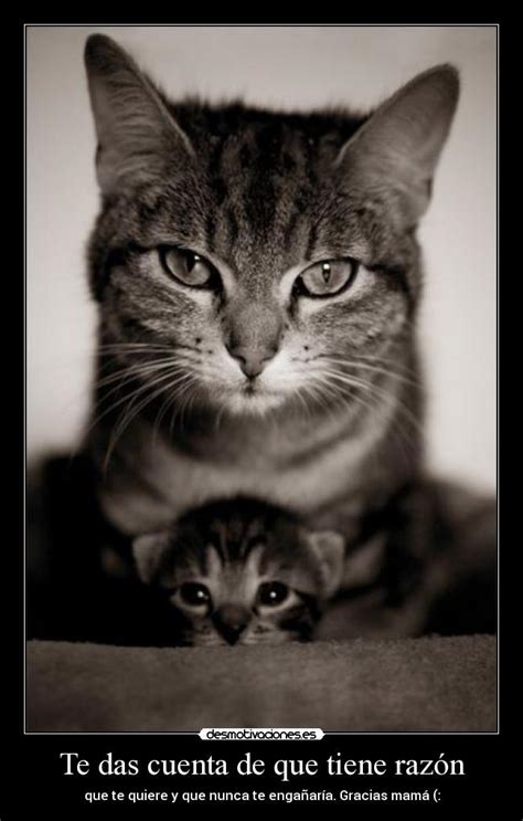 Im Genes Y Carteles De Mama Pag Desmotivaciones