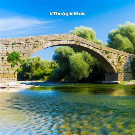 Theagilestoic Scrumcraft Agile Scrum Agilecoaching Agiletransformation Neuroadaptability