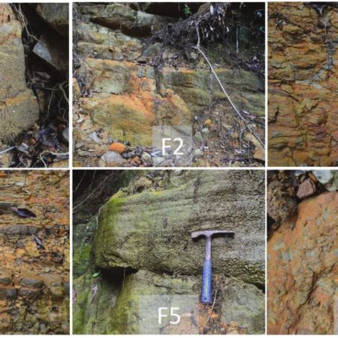 Left The Position Of The Deposition Of Molasse And Flysch Facies Download Scientific Diagram