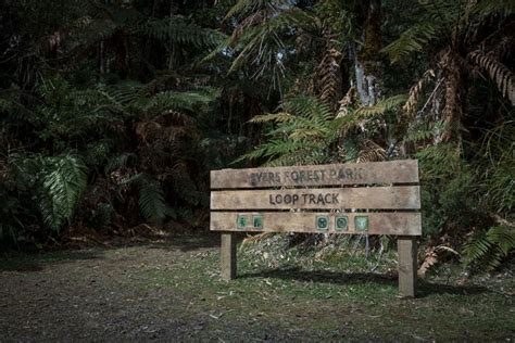 Man Vs New Zealand Wilderness With A Broken Mind In Loop Track