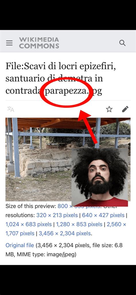 Ship Toast Rrobloxverysexyuwu