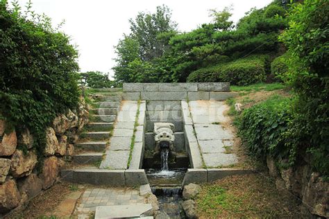 전통 숲 식물 물 계단 사진이미지일러스트캘리그라피 호롤롤로작가