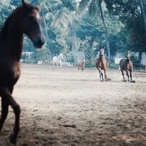 Sharavanan Venkatakrishnan Posted On Linkedin