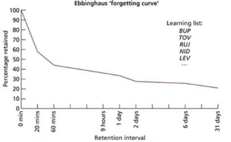 Incidental Forgetting Flashcards Quizlet Incidental Forgetting Flashcards Quizlet