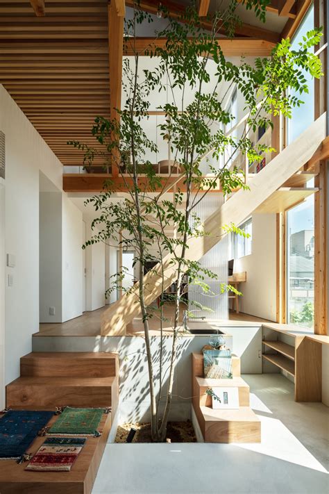 Ten Interiors From Homes Featuring Verdant Indoor Trees