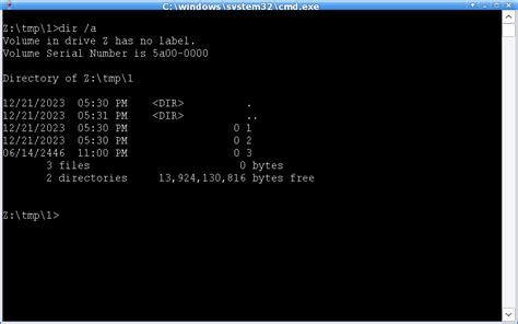 Filesystems Why Is One Of My Files Missing When Using Wine Unix Linux Stack Exchange