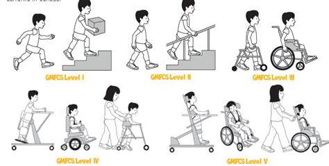 Using The Gross Motor Function Classification System 42 Off