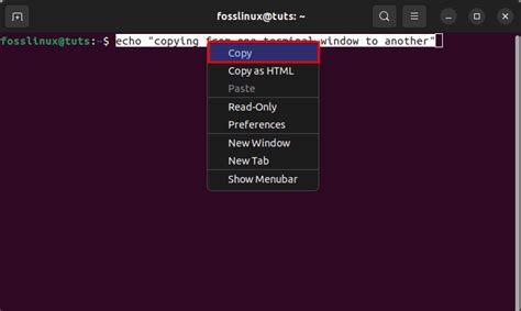 How To Copy And Paste Commands In Linux Terminal Fosslinux