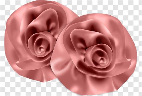 Download PhotoScape GIMP Flower Dp Transparent PNG