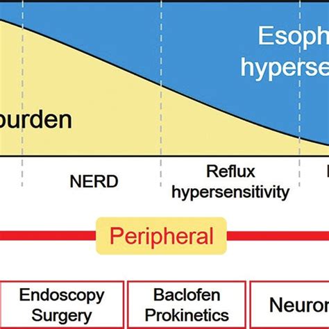 Individualized Management Of Gerd According To Precise Phenotyping Download Scientific Diagram
