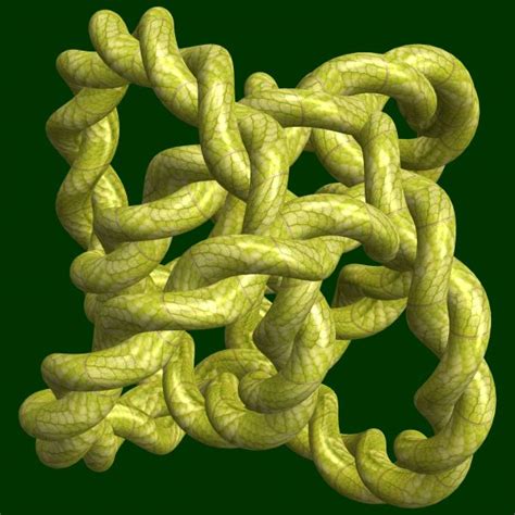 무료 이미지 추상 구조 조직 무늬 식품 생기게 하다 박 디자인 대칭 뱀 3d 그래픽 모양 큰 쇠시리 수학자 Cg