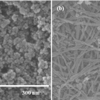 FE SEM Images Of TiO Nanoparticles And TNT Films A TiO Download Scientific Diagram
