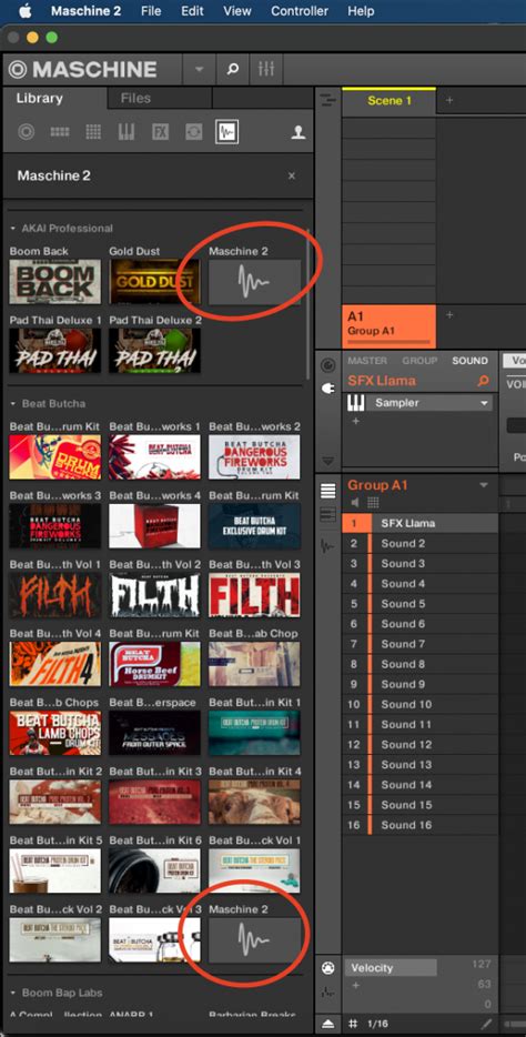 Maschine Folders Appearing All Over The Place Strange Behavior Community