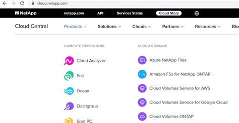 AWS Network Monitoring Tools And The Best Practices
