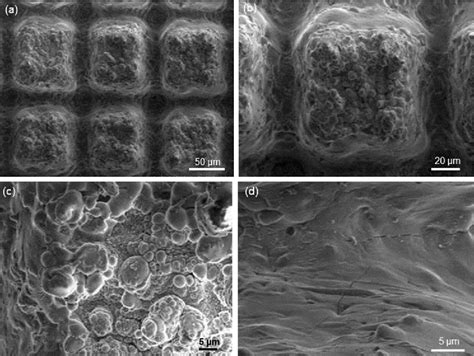 Figure 1 From Laser Surface Texturing Of Alumina Zirconia Composite Ceramics For Potential Use