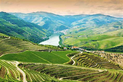 Walking In The Douro Wine Region The Natural Adventure