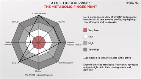 Improve Your Metabolic Profile Key Metrics And Strategies