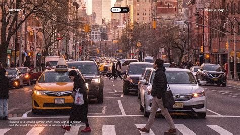 𝐏𝐋𝐀𝐘𝐋𝐈𝐒𝐓 살짝 쌀쌀한 가을 아니면 언제 들을래 🍂 가을 되서 좀 쌀쌀한데 산책하며 듣기 좋은 잔잔한 노래들 Youtube Music