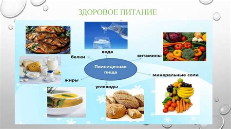 Рациональное питание современного человека презентация онлайн