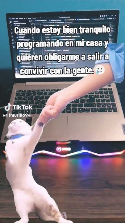 programando bien tranquilo 💯😎🤣 🔥 js javascript desarrolloweb fypシ html viral css code