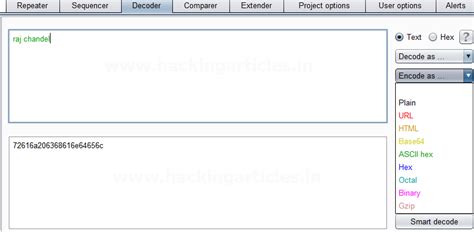 burp suite encoder and decoder tutorial hacking articles