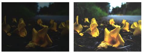 图像处理中的dct变换 知乎