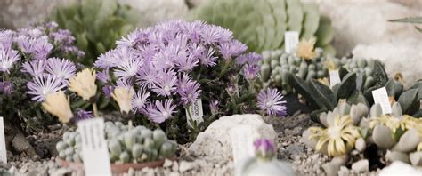 AgX Grading Workflow With Tools In The Compositing With Setup Compositing And Post Processing