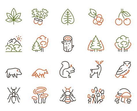 Tree Line Icon Royalty Free Vector Image VectorStock