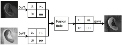 An Example Of A Multiscale Transform Domain Fusion Dwt The Block Download Scientific Diagram