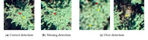 Figure 1 From A Novel Vegetation Point Cloud Density Tree Segmentation Model For Overlapping